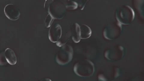 Blood Under A Microscope | Red blood cel... | Stock Video | Pond5