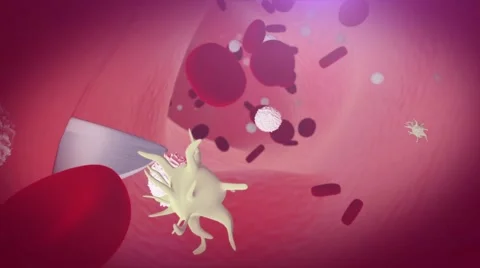 Blood vessel cut, blood clot formation | Stock Video | Pond5