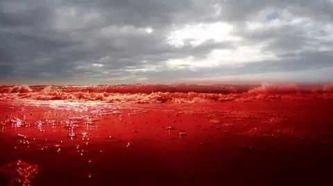 Bloody Water Stock Footage ~ Royalty Free Stock Videos | Pond5