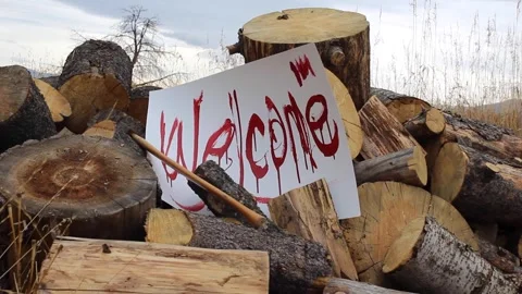 Bloody Axe Stock Video Footage | Royalty Free Bloody Axe Videos | Pond5