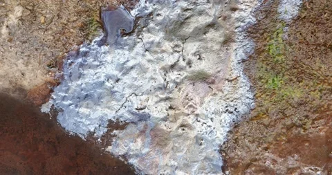 A bloom caused by bactria that thrive in... | Stock Video | Pond5