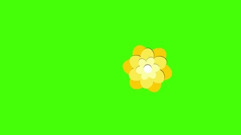 bloom flat flowers animation elements o... | Stock Video | Pond5