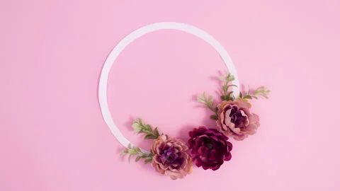 Flower Stop Motion Stock Footage ~ Royalty Free Stock Videos | Pond5