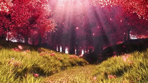 Loop Landscape Stock Videos – Royalty-Free HD & 4K Videos