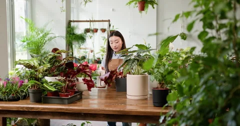 Korean Can Girl Stock Videos – Royalty-Free HD & 4K Videos | Pond5