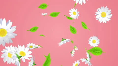 Leaf Background Animation Stock Videos – Royalty-Free HD & 4K Videos