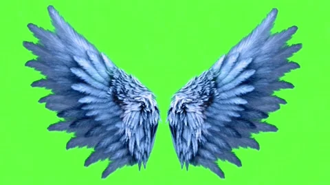 Angel Wings Green Screen Stock Videos – Royalty-Free HD & 4K Videos | Pond5