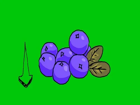 Blue berry - Hand Drawn - Green Screen -... | Stock Video | Pond5