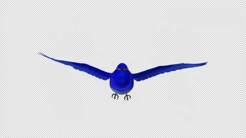 Blue Bird - Flying Loop - Front View - A... | Stock Video | Pond5