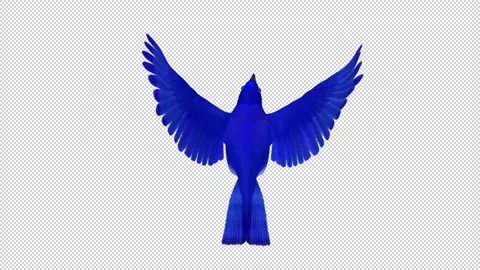Blue Bird - Flying Loop - Top View - Alp... | Stock Video | Pond5