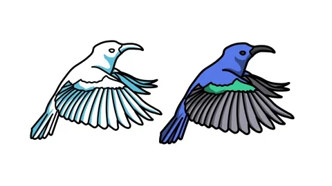 Bird Sketching Stock Video Footage | Royalty Free Bird Sketching Videos ...
