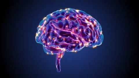 Blue Brain spinning in a 3D animation wi... | Stock Video | Pond5