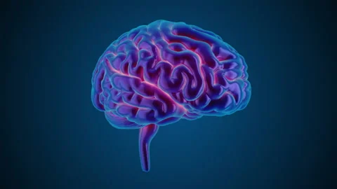 Blue Brain spinning in a 3D animation wi... | Stock Video | Pond5