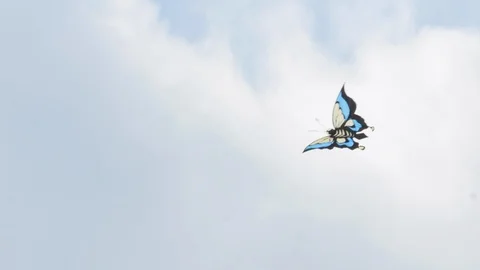 Blue Butterfly Kite Flying In and Out of... | Stock Video | Pond5