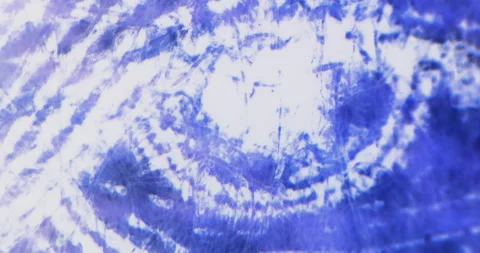 Franklin Health Care Stock Videos – Royalty-Free HD & 4K Videos