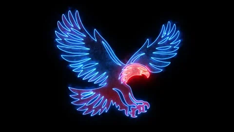 Blue Eagle Animated Neon Logo with Revea... | Stock Video | Pond5