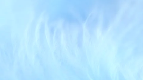 Dream Mac Stock Videos – Royalty-Free HD & 4K Videos | Pond5