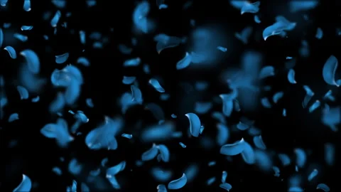 Blue feather falling background | Stock Video | Pond5