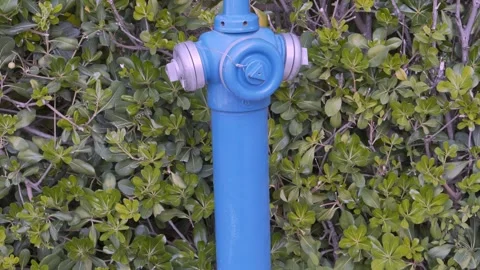 Blue Fire Hydrant Against a Green Backgr... | Stock Video | Pond5