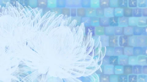 Blue Flowers Looping Background | Stock Video | Pond5