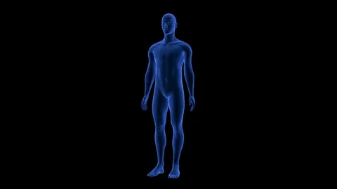 Blue Human Anatomy Body 3D Scan render -... | Stock Video | Pond5