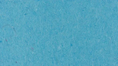 Blue Jay Paper Background Texture Seamle... | Stock Video | Pond5