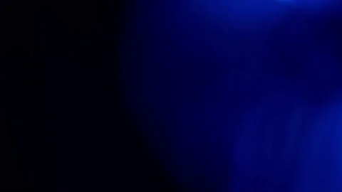 Bokep Film Hot Stock Video Footage | Royalty Free Bokep Film Hot Videos | Page 4