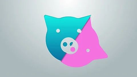 Blue line Pig icon isolated on grey back... | Stock Video | Pond5