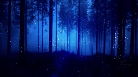 Blue Magical forest fairy lights backgro... | Stock Video | Pond5