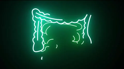 Blue neon anatomy of the human digestive... | Stock Video | Pond5