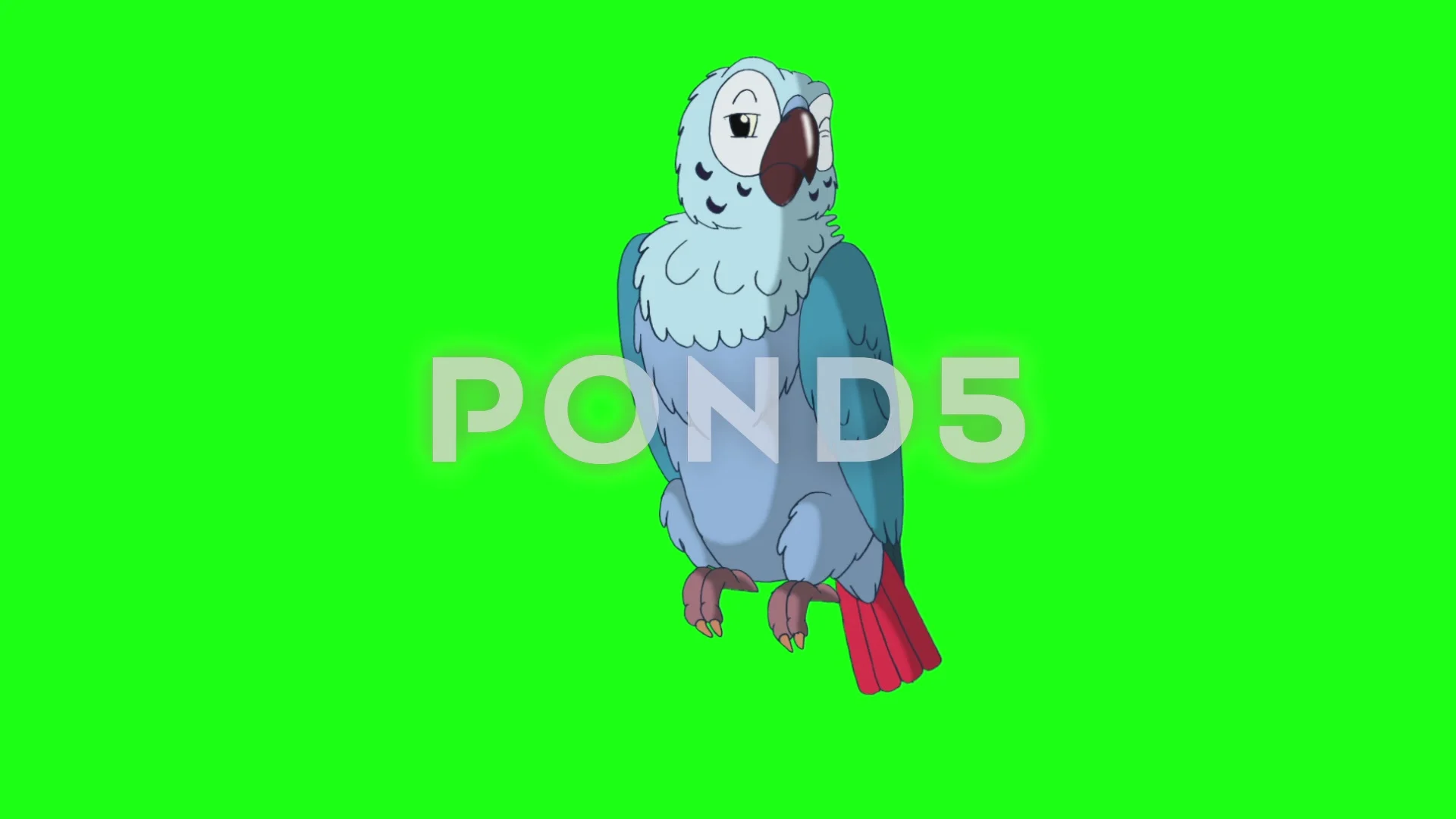 Cartoon Parrot Talking