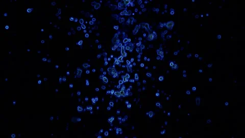 Blue Particles on a Black Background a | Stock Video | Pond5