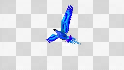 Blue Phoenix Bird - Flying Loop - Down A... | Stock Video | Pond5