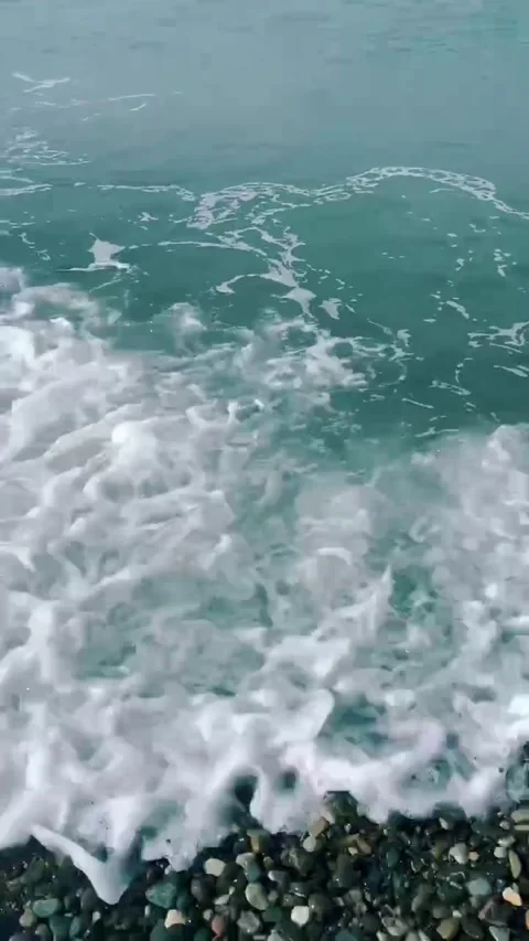 Discover Real Videos Stock Videos – Royalty-Free HD & 4K Videos | Pond5