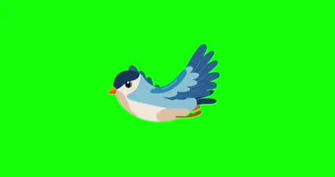 Blue sparrow type cartoon animation bird... | Stock Video | Pond5
