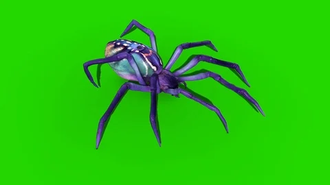 Spider Green Green Screen Stock Video Footage | Royalty Free Spider ...