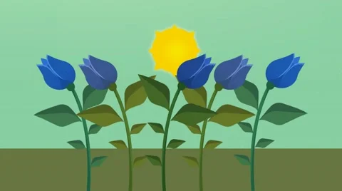 Blue Tulips - Vector Animation - Photos... | Stock Video | Pond5