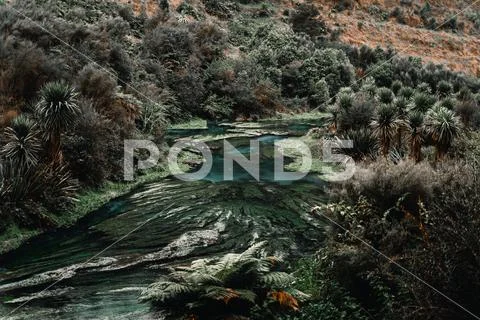 Blue water spring that forms the river in the middle of nature among ...