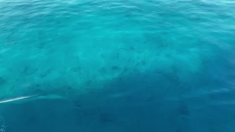 Ariel Texture Stock Videos – Royalty-Free HD & 4K Videos