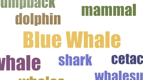 Blue Whale Isolated Stock Footage ~ Royalty Free Stock Videos | Pond5