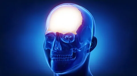 Skull X Ray Stock Video Footage | Royalty Free Skull X Ray Videos | Page 2