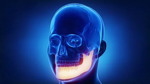 Mandible Stock Videos – Royalty-Free HD & 4K Videos