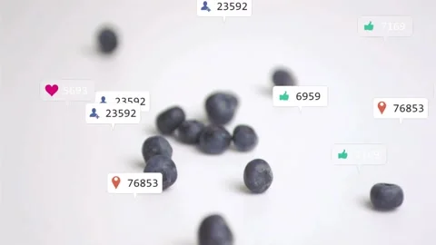 Soft Bell Notification Stock Videos – Royalty-Free HD & 4K Videos