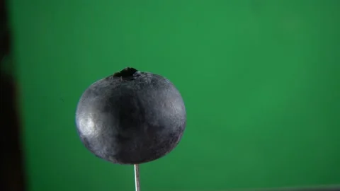 Blueberry rotating with loop on green sc... | Stock Video | Pond5