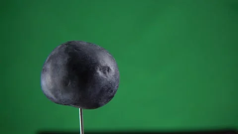 Blueberry rotating with loop on green sc... | Stock Video | Pond5