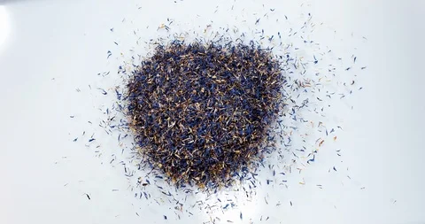 Blueberry Seeds, centaurea cyanus, Explo... | Stock Video | Pond5