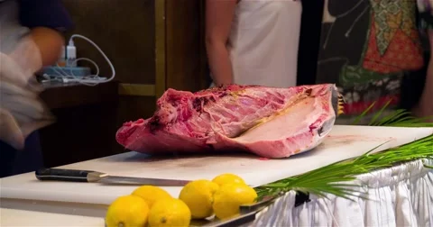 Bluefin Blue Video Stock Videos – Royalty-Free HD & 4K Videos | Pond5