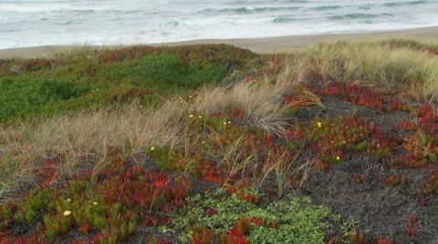 Bluff overlooking ocean waves | Stock Video | Pond5