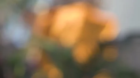 Blur gold background waving in wind. | Stock Video | Pond5