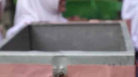 Women Love Giving Stock Videos – Royalty-Free HD & 4K Videos | Pond5